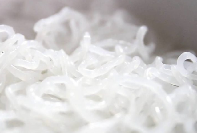 Konjac: qué es este suplemento - The Core™ Spain