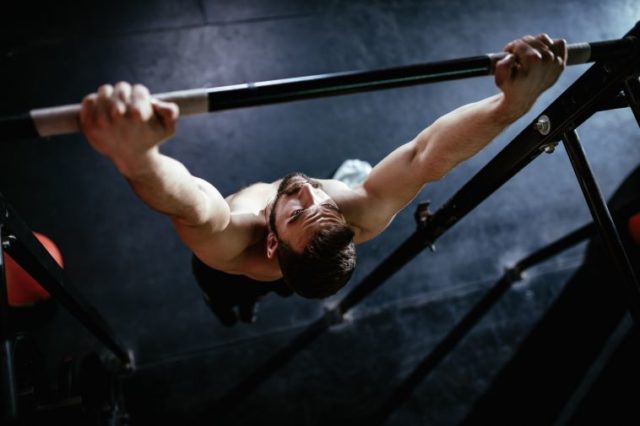 Pull Day: Back Exercises, Pull Workouts & Routines | Bulk™